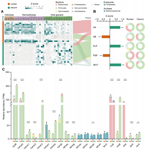 Microbiome|宿主转录组+肠道微生态，联合分析范文_肠道菌binning分析-CSDN博客