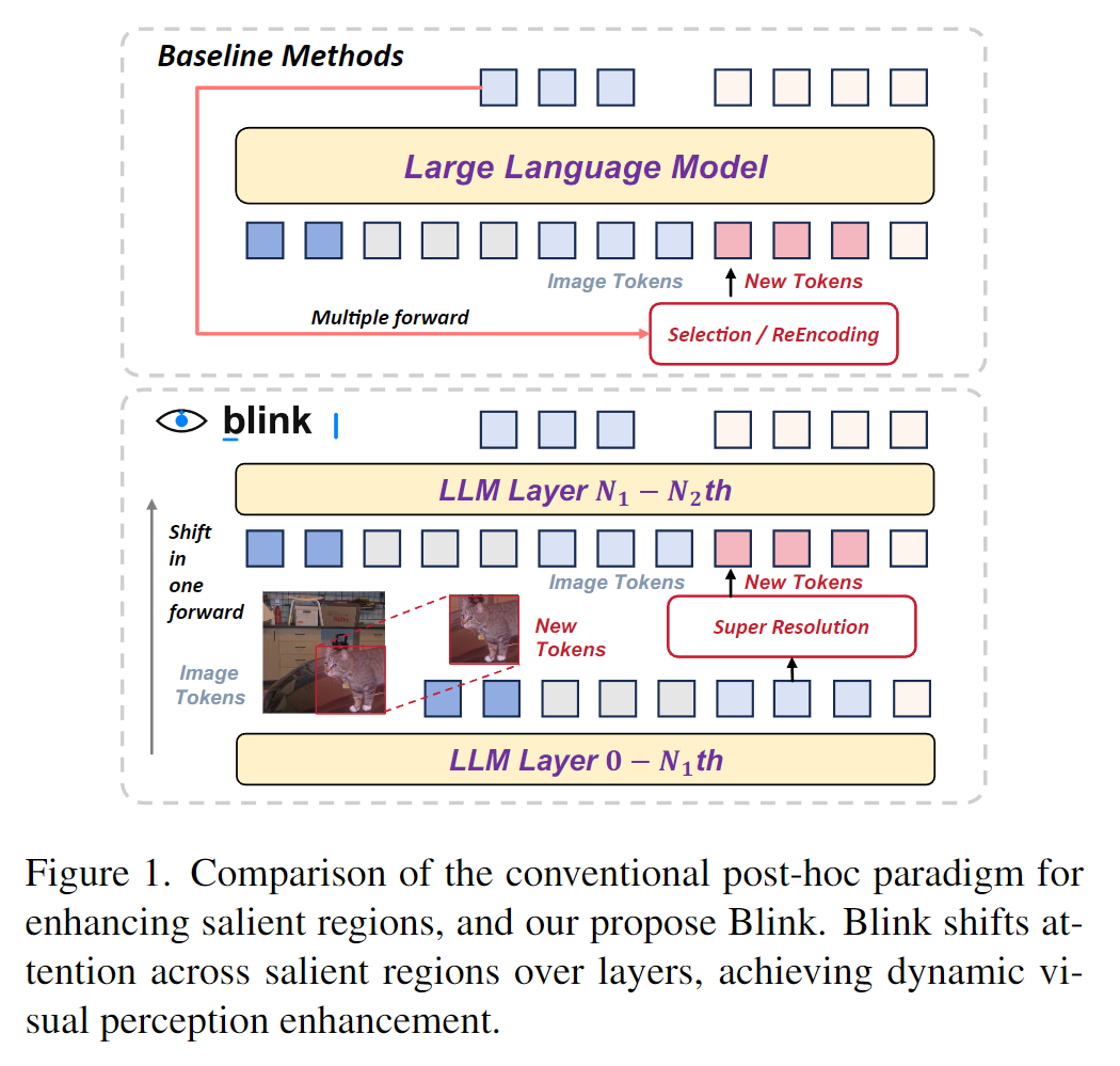 【中科院-付鹏组-arXiv25】Blink：用于增强多模态理解的动态视觉令牌解析-CSDN博客