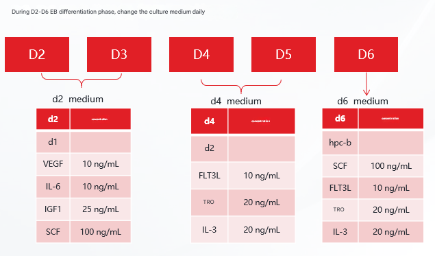 DC cell culture strategy-CSDN博客