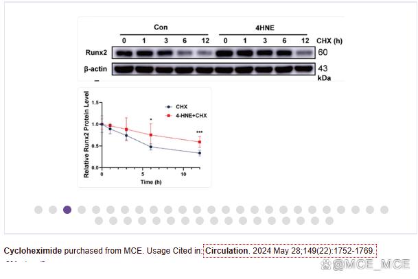 Cycloheximide 放线菌酮WB、Cell Viability Assay、IF、RT-PCR实验参考｜MCE-CSDN博客