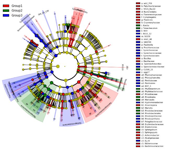 如何简化美化LEfSe分析结果中的Cladogram图-CSDN博客
