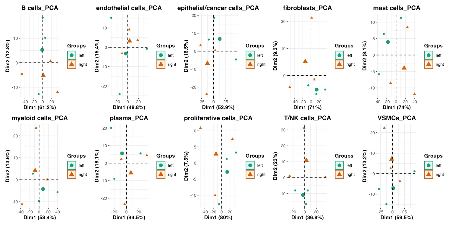 单细胞实战之pseudobulks分析，GSVA富集分析——入门到进阶(初级篇3）_单细胞 gsva-CSDN博客