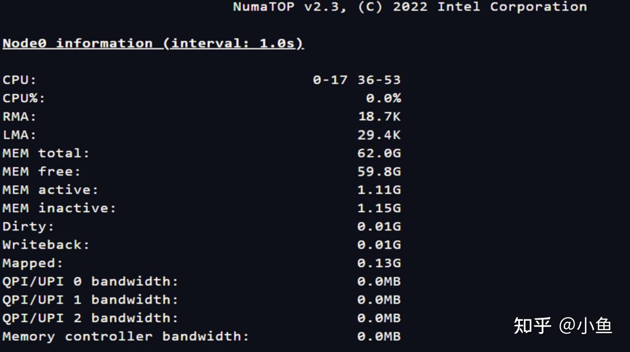 【Linux工具系列】Numa观测工具NumaTOP-CSDN博客