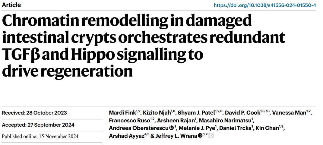 文献速递 | Nat Cell Biol丨TGFβ和Hippo信号通路驱动受损肠道再生-CSDN博客