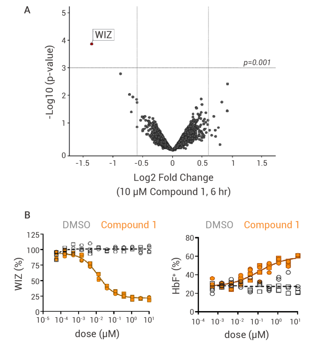 分子胶的筛选案例详解_MedChemExpress(MCE 中国)-CSDN博客