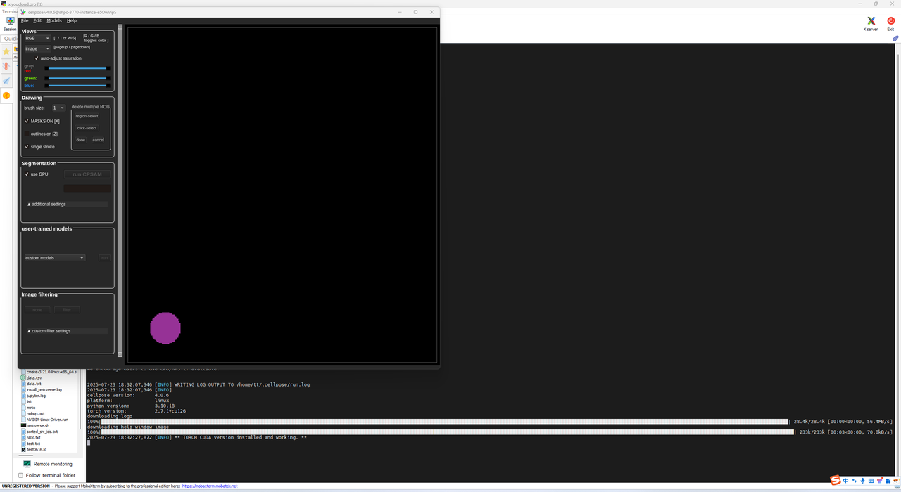 服务器使用Cellpose快速入门指南-CSDN博客