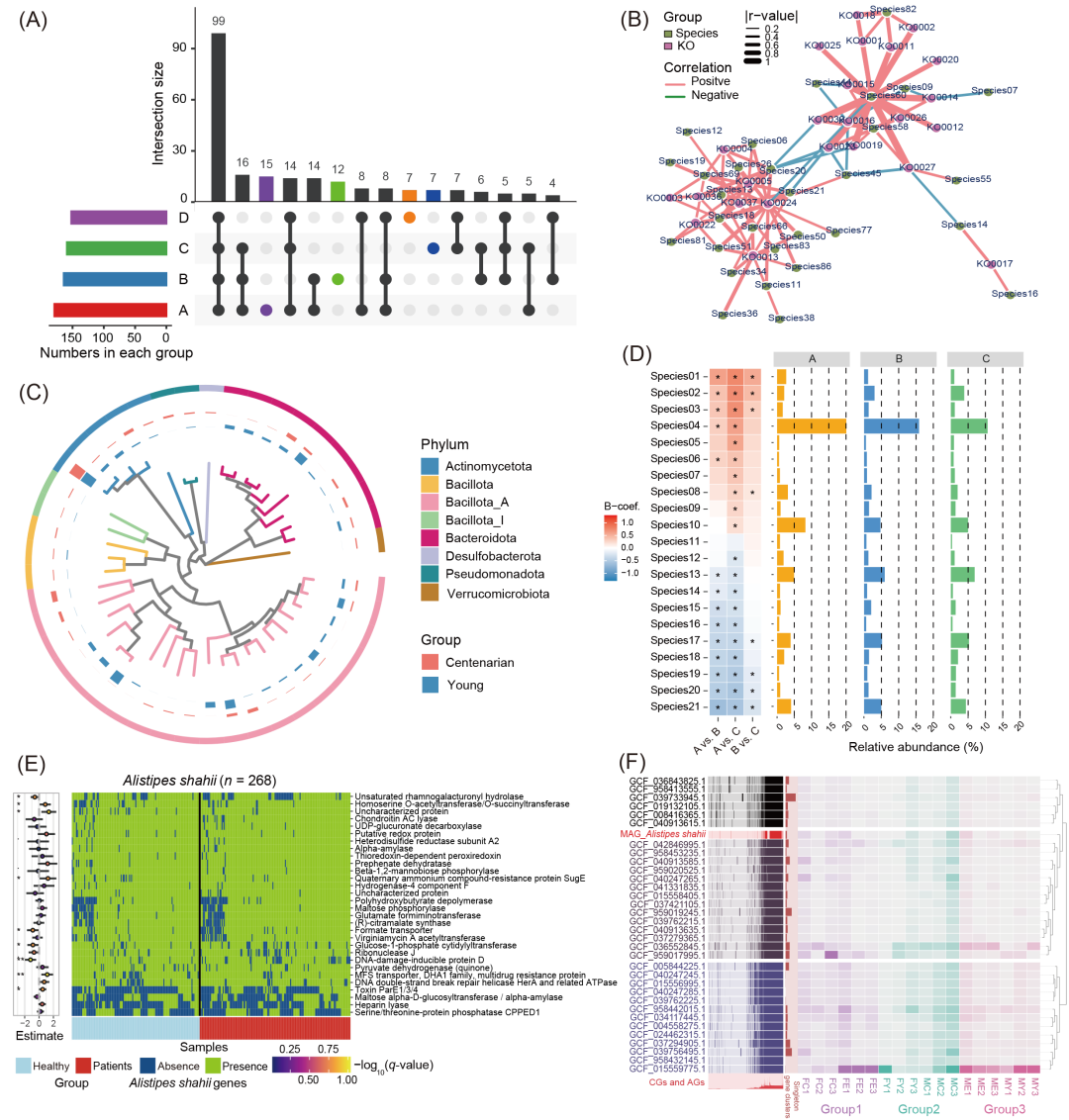 iMeta | 刘永鑫组-开发微生物组数据分析与可视化平台MicrobiomeStatPlots-CSDN博客