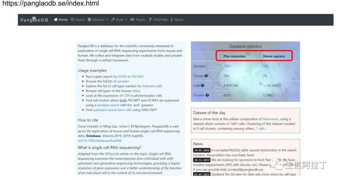 单细胞转录组亚群分析_单细胞提取出的细胞亚群后进行差异基因分析-CSDN博客