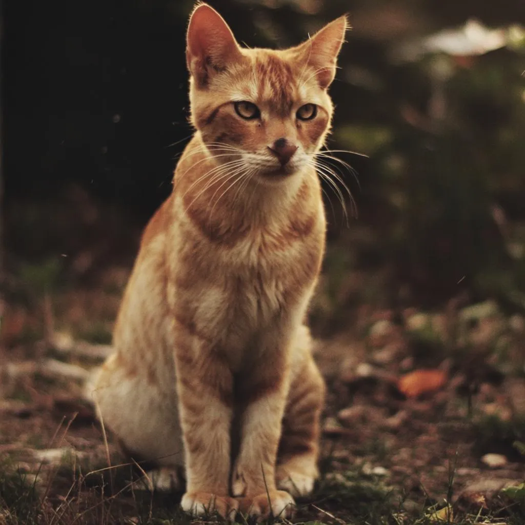 一张图秒生 LoRA ? Qwen-Image-i2L 诞生记_魔搭ModelScope社区-ModelScope魔搭社区