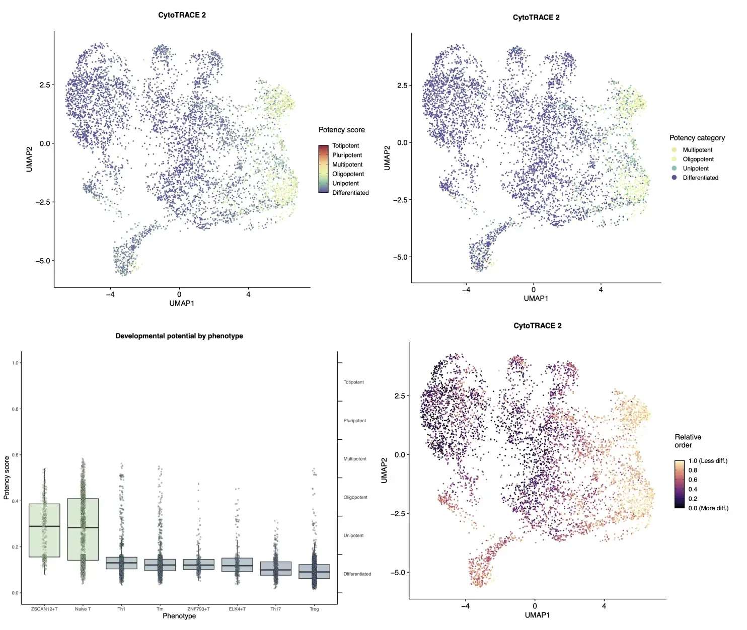 单细胞RNA速率(velocyto)分析学习(二)-CSDN博客