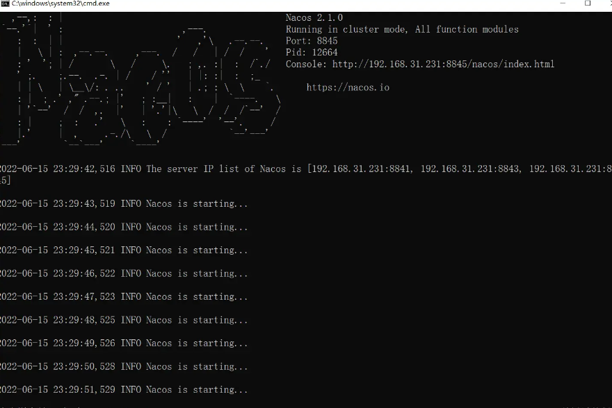 Nacos 高级详解：提升你的开发和部署效率-CSDN博客
