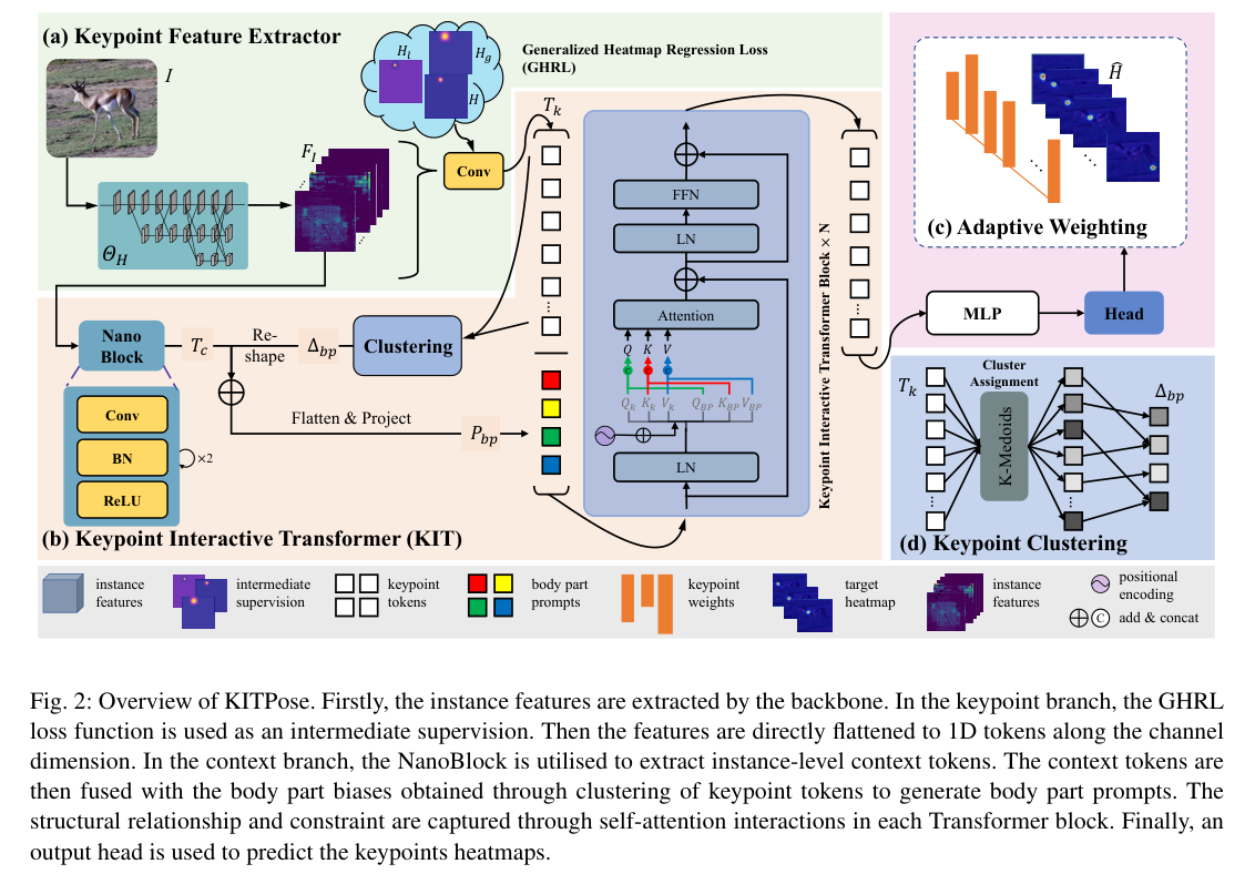 哺乳动物姿态估计：Learning Structure-Supporting Dependencies via Keypoint Interactive Transformer for ...