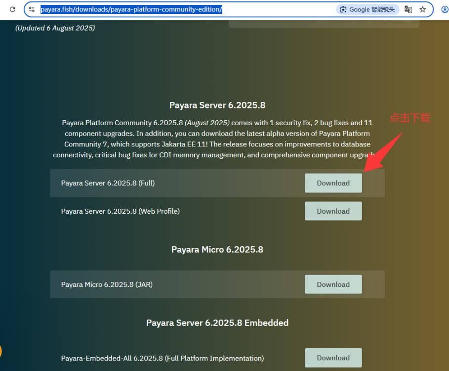 本地部署开源 java 应用服务器 Payara server 并实现外部访问（Windows 版本）-CSDN博客