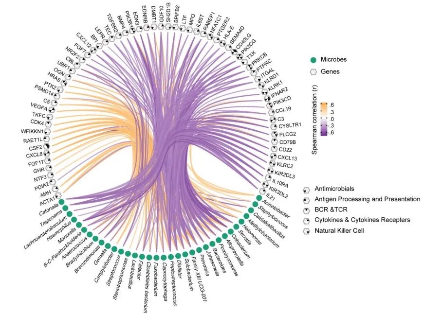 MicrobiomeStatPlots | 边绑定图教程Edge Bundling Plot-CSDN博客