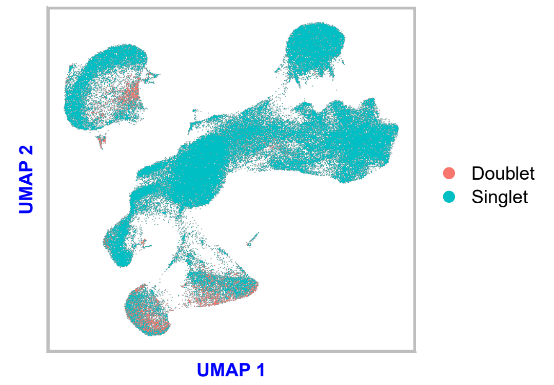 scRNA-seq实用分析模块 | 双细胞去除篇 | 基于DoubletFinder的流程与代码-CSDN博客