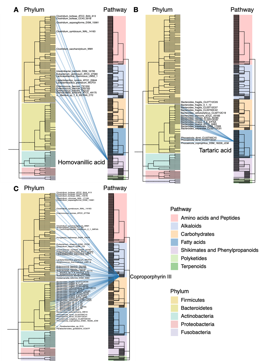 BiB | 浙大蒋超组开发iPhylo平台推动生物与化学分类学的整合分析-CSDN博客