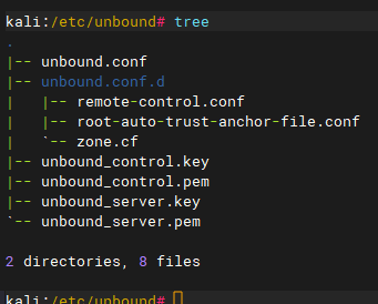 unbound–DNS服务器搭建_unbound dns-CSDN博客