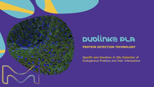 Duolink邻位连接检测 | 默克生命科学_duolink pla-CSDN博客