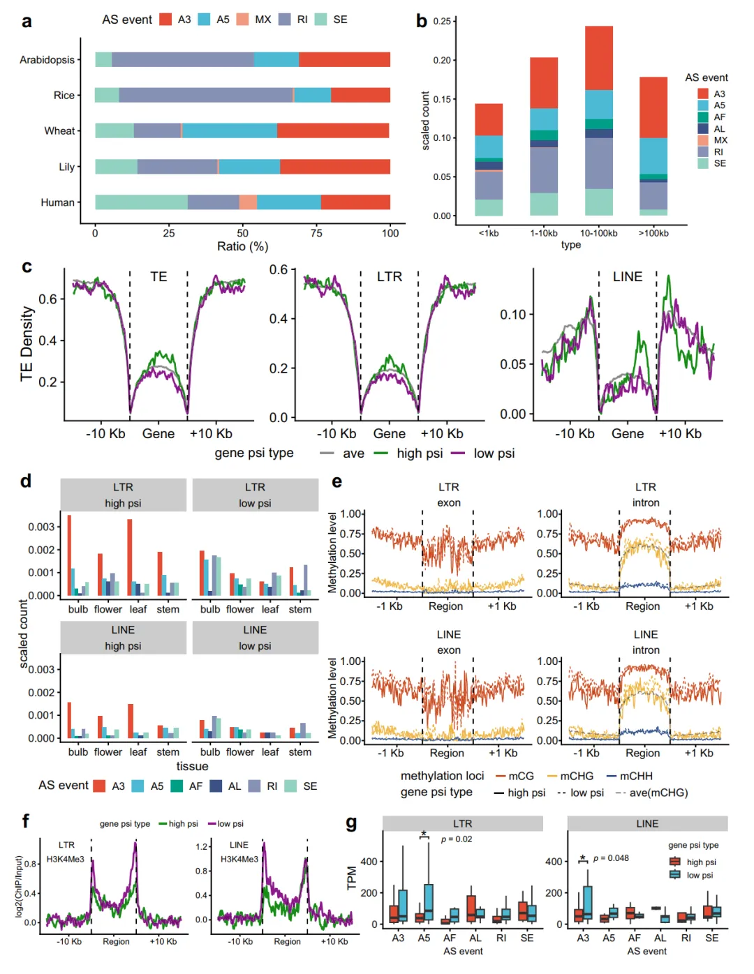 Nature Communication | 百合染色体基因组，PacBio HiFI+Hi-C，基因组大小35.6G-CSDN博客