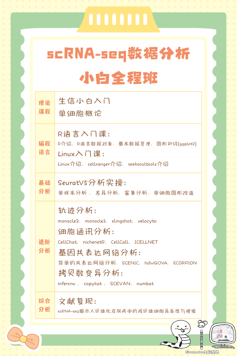 这可能是全网最全的scRNA-seq分析教程！-CSDN博客