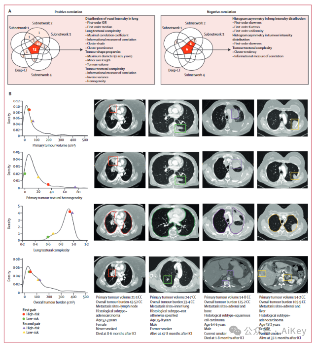IF=23.8，DeepCT: 深度学习方法预测非小细胞肺癌（NSCLC）患者PD-L1反应_深度学习疗效预测-CSDN博客