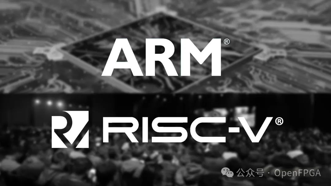 为什么FPGA厂商拥抱RISC-V？不继续发展RISC-CSDN博客