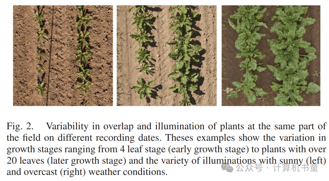 TPAMI 2024 | PhenoBench：农业领域语义图像解释的大规模数据集和基准测试-CSDN博客