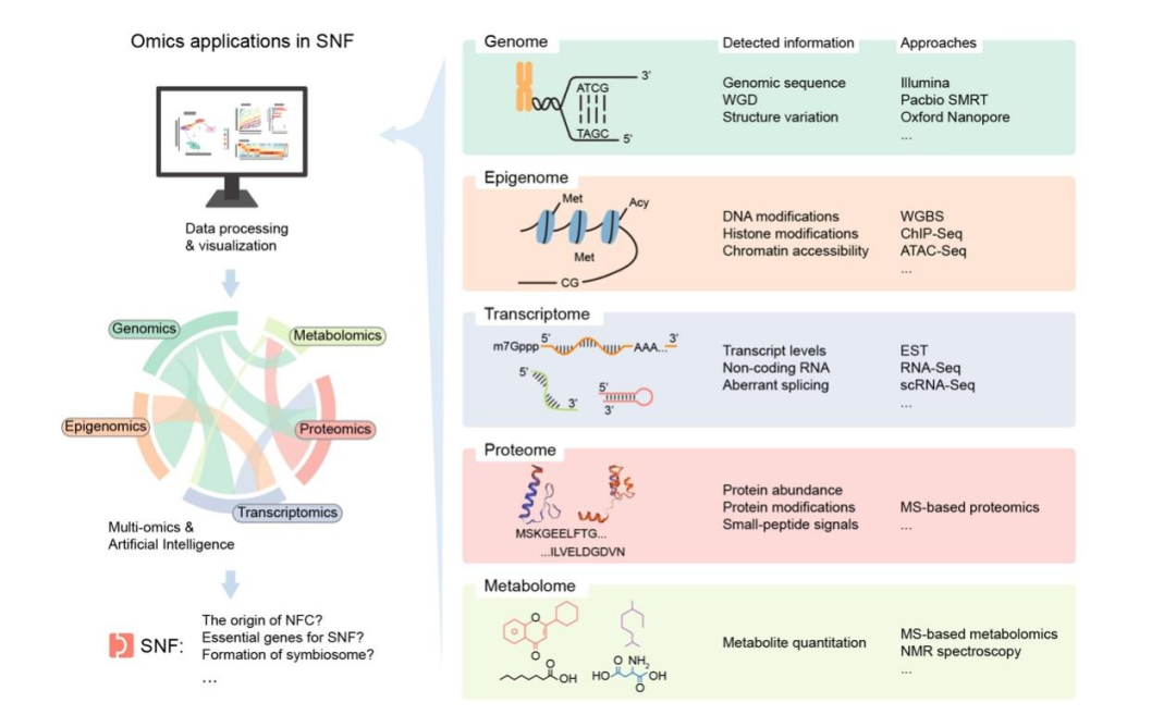 aBIOTECH | 黄三文团队综述组学技术解码共生固氮机制-CSDN博客