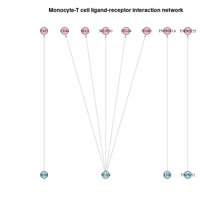 单细胞互作新思路！NicheNet实战：单核细胞如何调控T细胞？附代码_r语言单细胞nichnet分析-CSDN博客