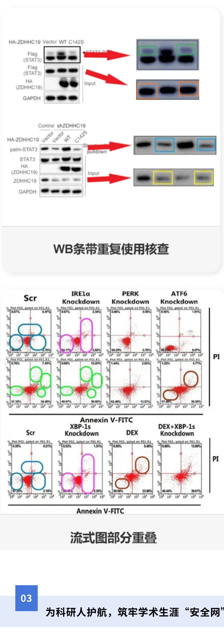深瞳查重：一款专业的科研图片查重工具-CSDN博客
