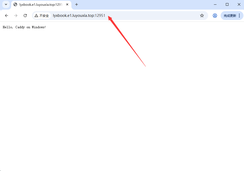 本地部署开源 Web 服务器 Caddy 并实现外部访问_caddy windows-CSDN博客