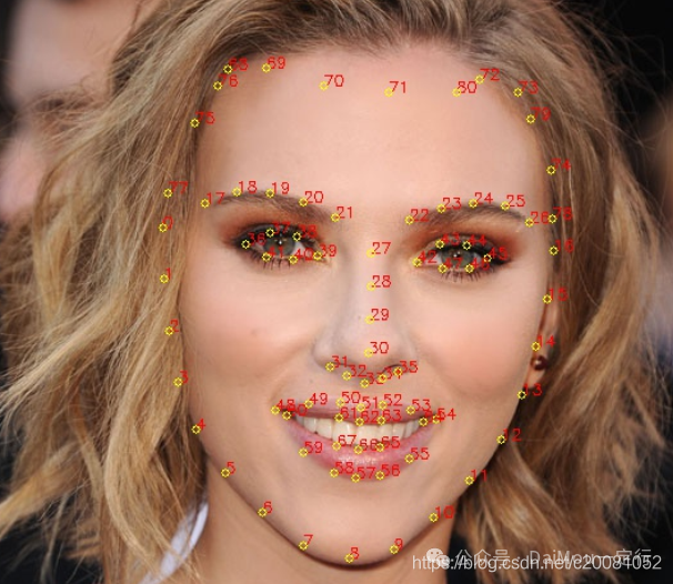 Python库dilb安装以及人脸68关键点检测20250502_dilb库-CSDN博客