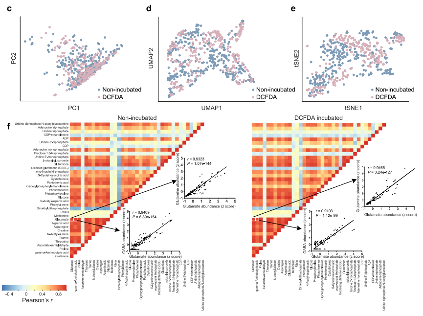 nat. commun.｜单细胞代谢 “黑科技”！破解细胞衰老密码，线虫竟成最大赢家？_metabolic heterogeneity and nature communications-CSDN博客