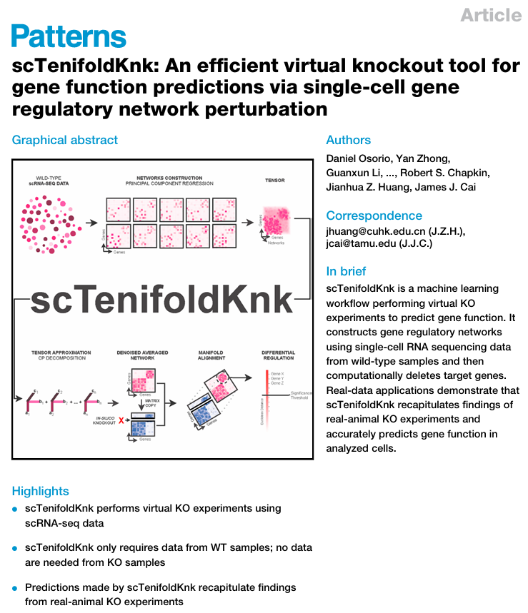 一文搞懂虚拟基因敲除原理：scTenifoldKnk文献介绍-CSDN博客