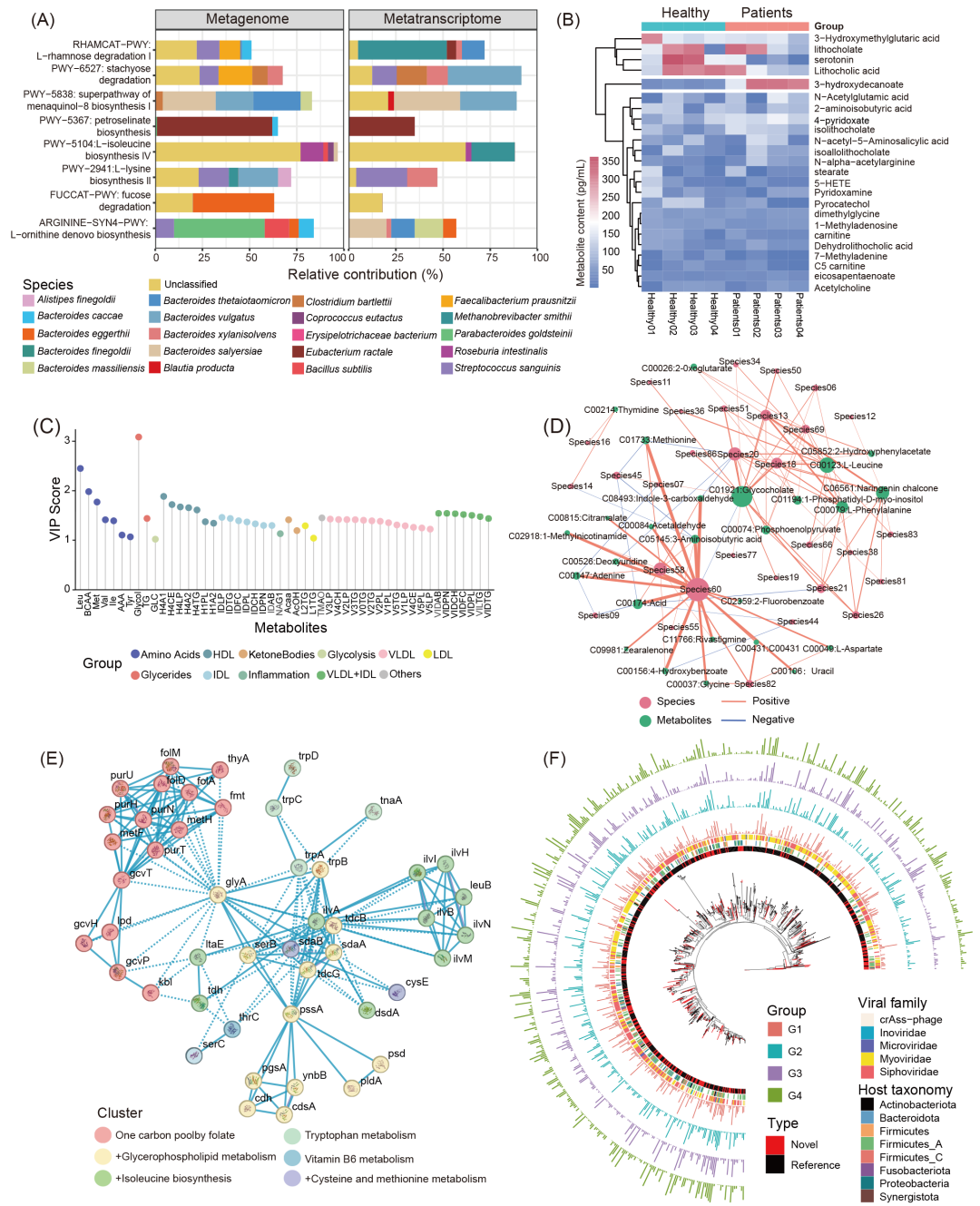 iMeta | 刘永鑫组-开发微生物组数据分析与可视化平台MicrobiomeStatPlots-CSDN博客