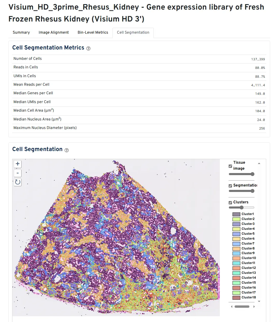 10X官方发布10X visium HD细胞分割方法-CSDN博客