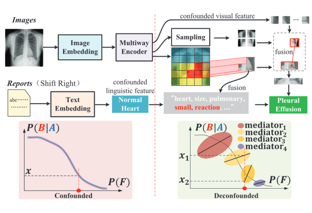 TIP 2025 | 从噪声图像到精准报告：CMCRL两阶段因果框架重构医疗多模态学习-CSDN博客
