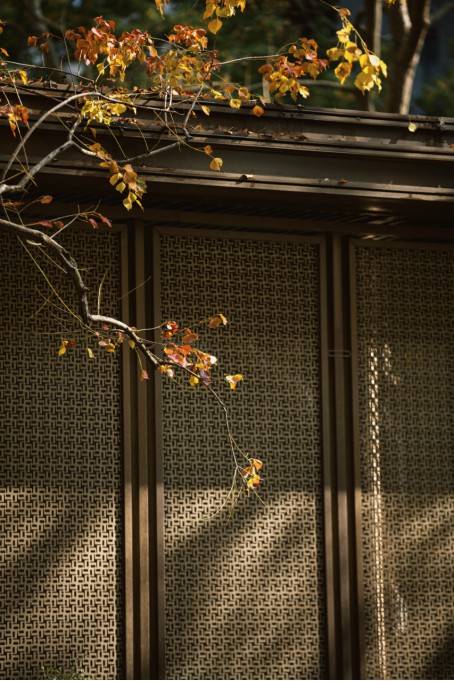 招商蛇口｜低密洋房住区，以央企匠心定义CID改善向往 -CSDN博客