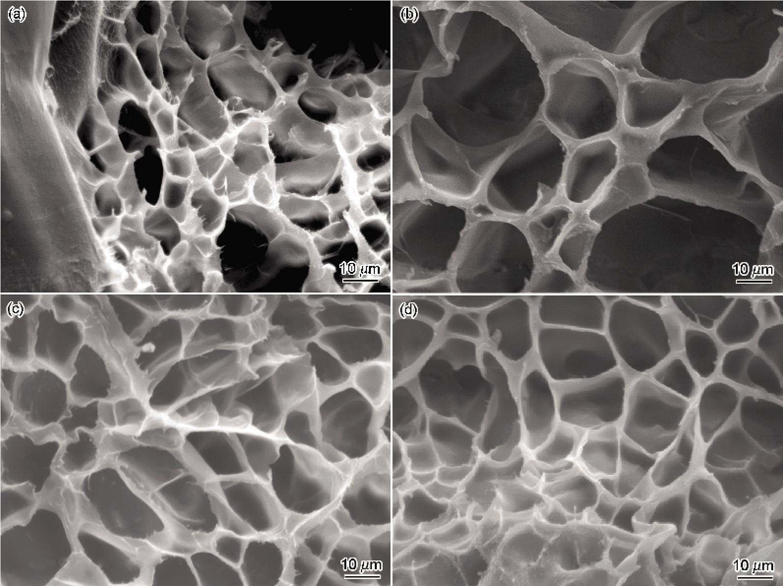 水凝胶的微观形貌表征：SEM、TEM和STEM等该如何选用？_stem-eds和sem-eds的差异-CSDN博客
