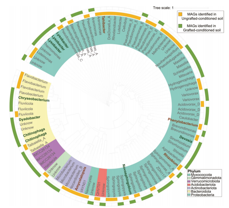 Microbiome—植物-土壤反馈实验+多组学分析-CSDN博客