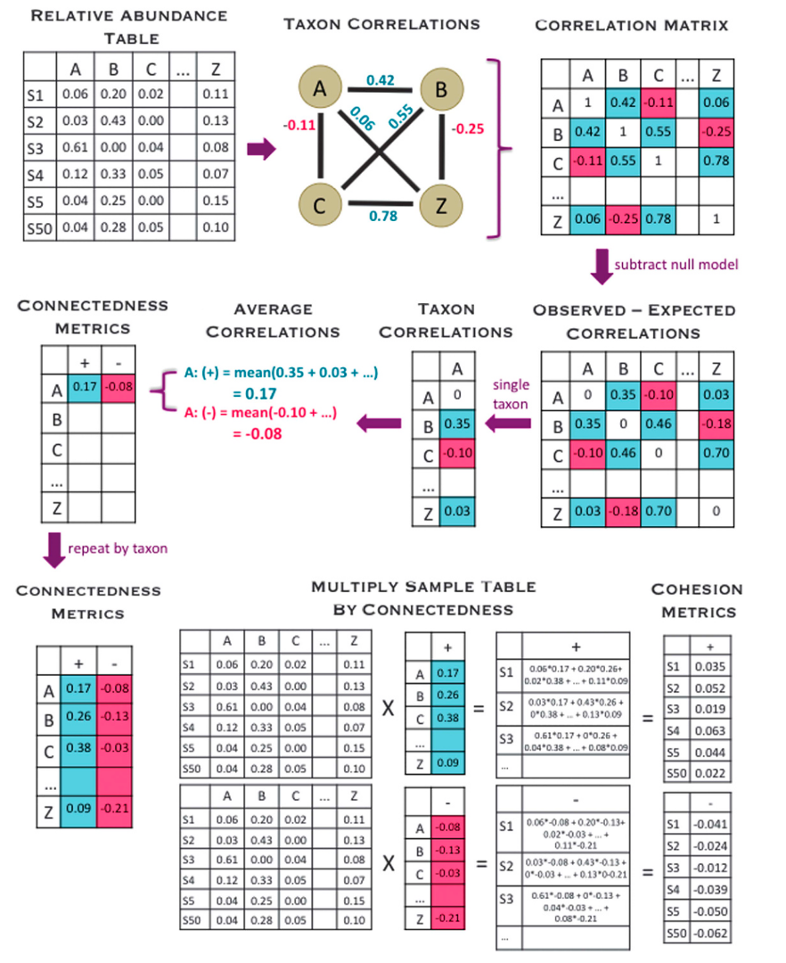 MetaNet：多组学网络分析工具｜8.网络稳定性分析_natrural connectivity 计算 r语言-CSDN博客