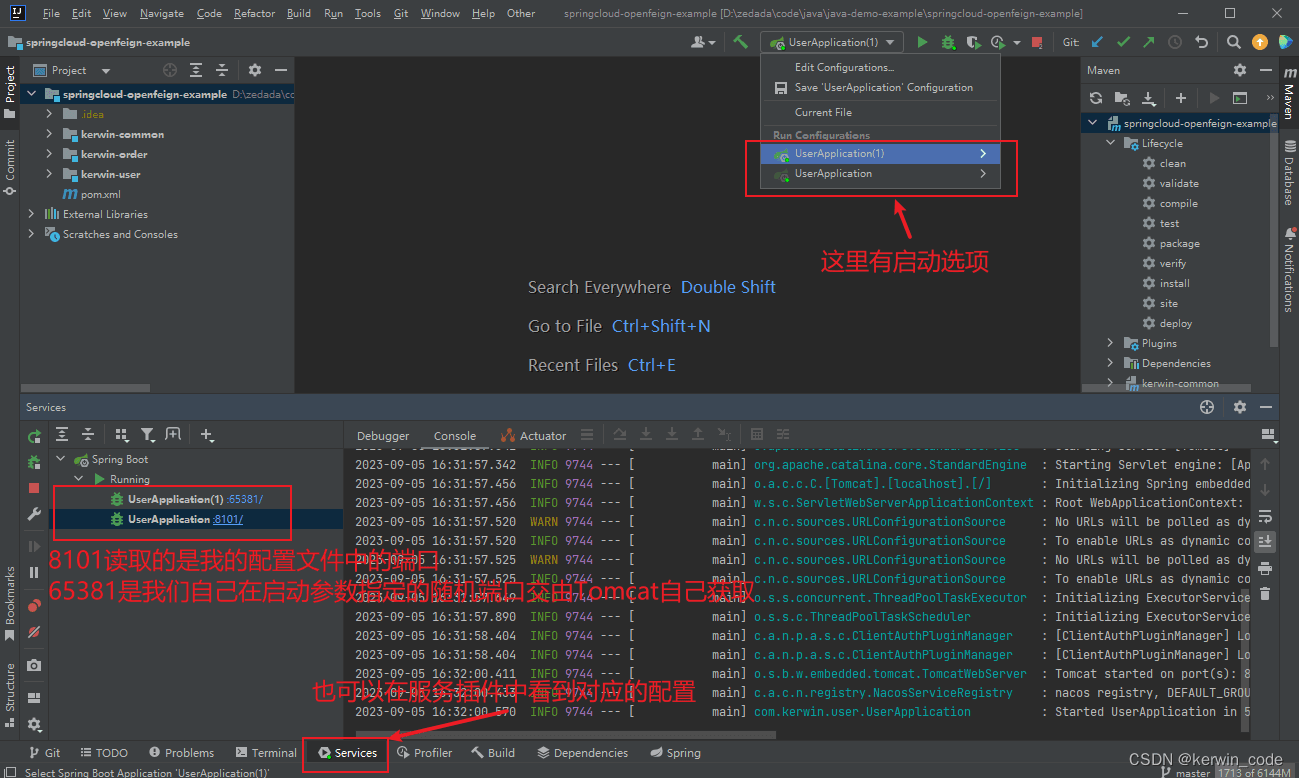 idea启动多个springboot服务实例 包括springboot 和jvm配置_idea启动多个springboot项目-CSDN博客
