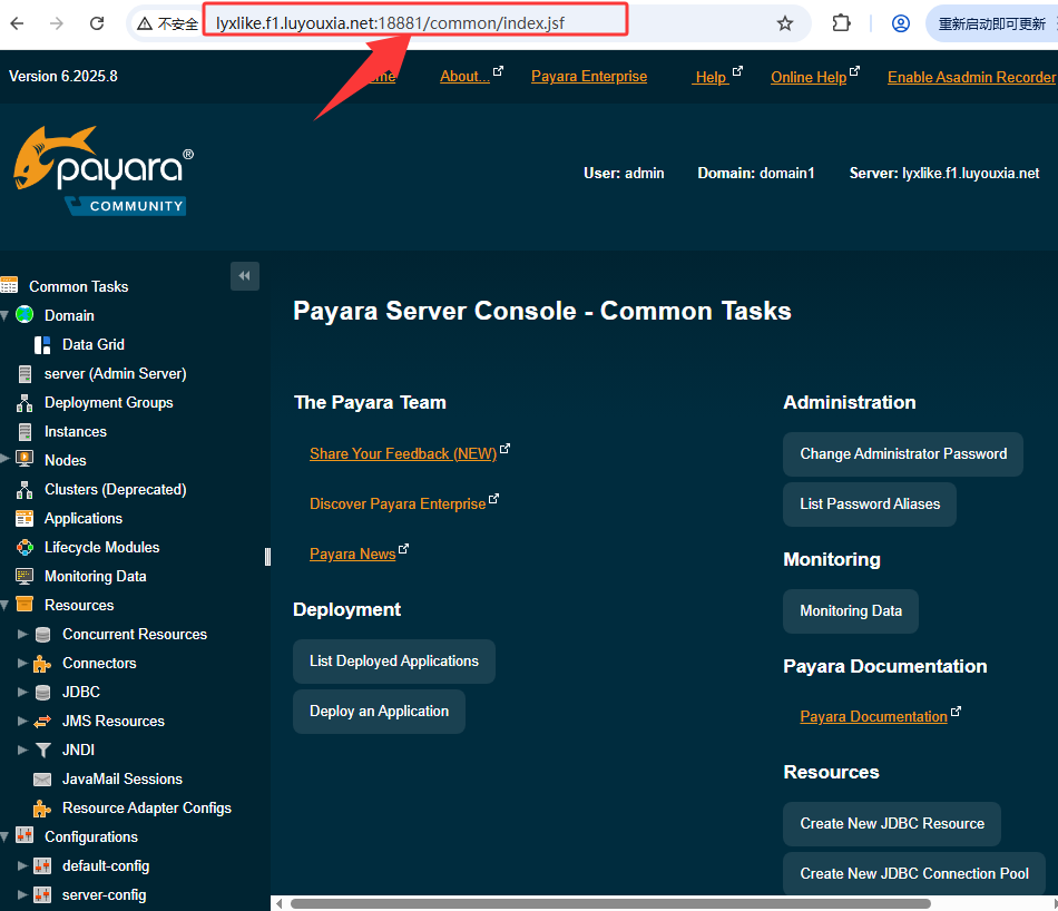 本地部署开源 java 应用服务器 Payara server 并实现外部访问（Windows 版本）-CSDN博客