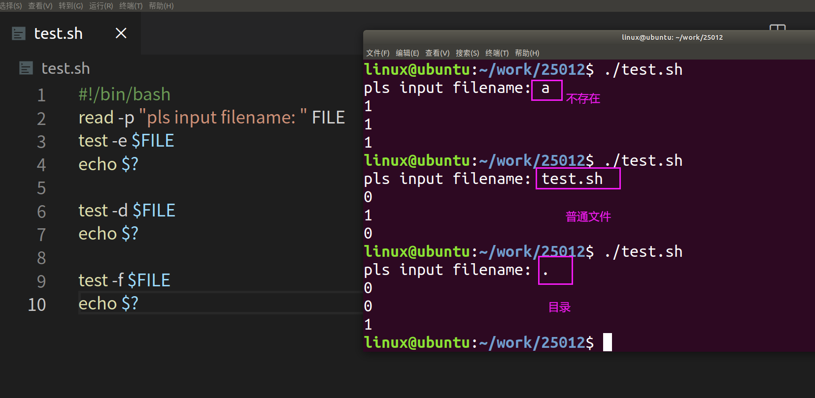 Linux高级进阶3-CSDN博客