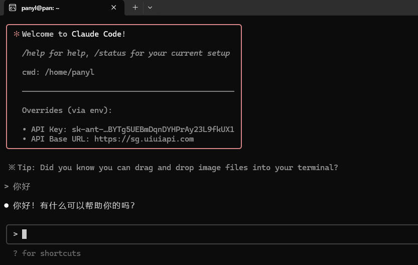 开发者指南：Claude Code 安装与集成（附Windows详细安装教程）_claude code cli-CSDN博客