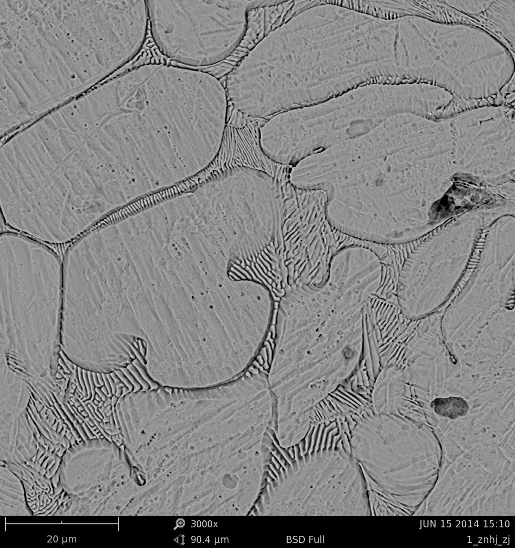 扫描电子显微镜（SEM）全解析：工作原理、技术特点与应用前沿_扫描电子显微镜工作原理-CSDN博客