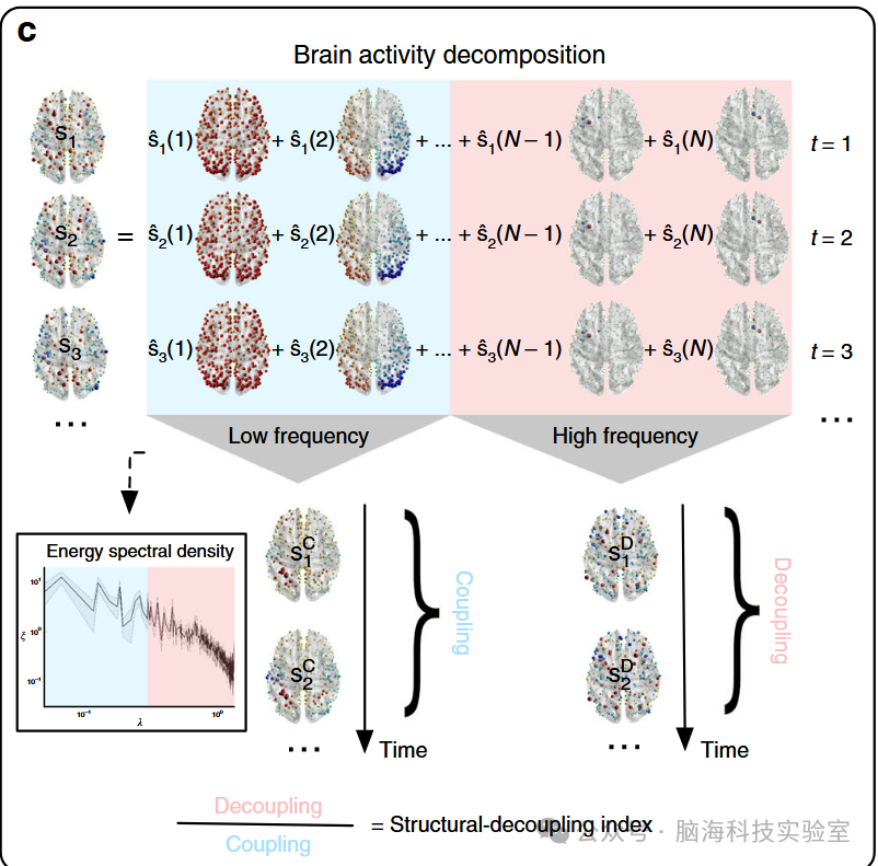 往期精彩|Nat Commun：大脑功能与结构的解耦揭示了人类大脑的区域行为专门化-CSDN博客