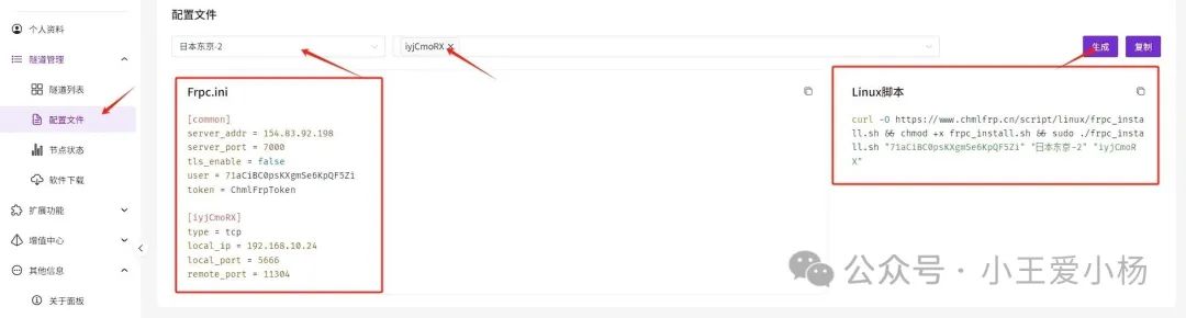 飞牛NAS免费远程访问工具chmlfrp使用教程_飞牛chmlfrp-CSDN博客