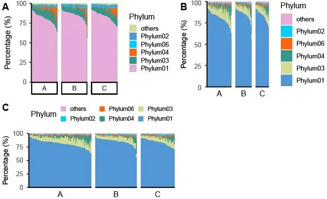 MicrobiomeStatPlots | 分面排序堆叠柱状图教程Faceted sorted stack bar plot-CSDN博客