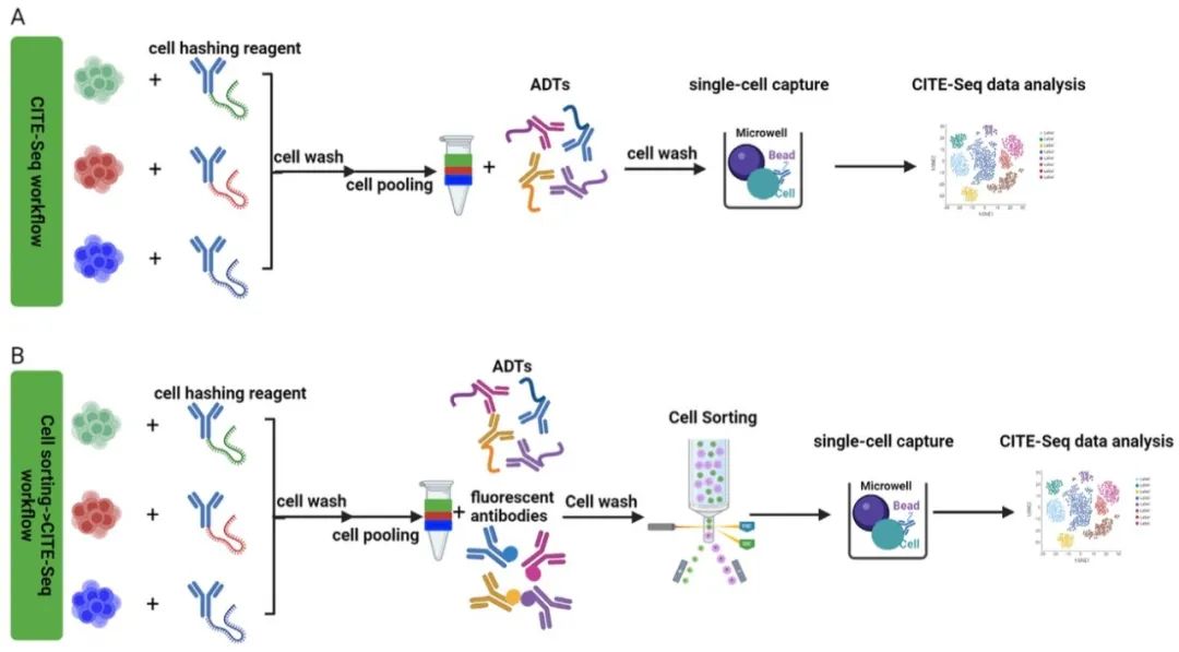 CITE-Seq在单细胞多组学中的关键考量-CSDN博客